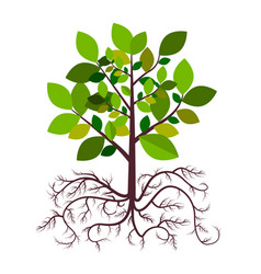 Tree flat style Royalty Free Vector Image - VectorStock