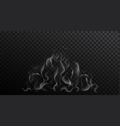 Hot food steam on transparent background Vector Image