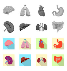 Human body parts collection set Royalty Free Vector Image