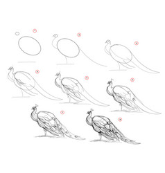 Page shows how to learn draw from life sketch Vector Image