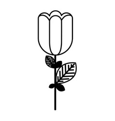 Pink round roses icon Royalty Free Vector Image