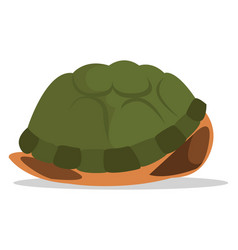 Turtle cartoon hiding in his shell Royalty Free Vector Image