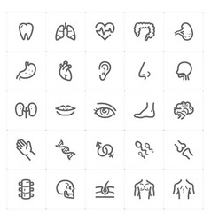 Smell icons smoke steam nose smelling odor scent Vector Image