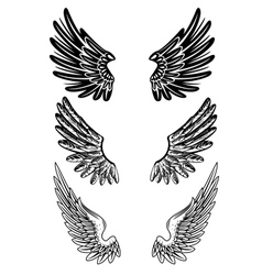 Set of drawings with boots isolated objects vector by Rizik - Image ...