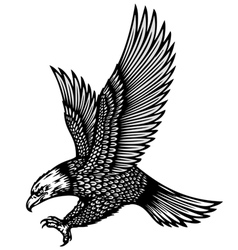 Hand drawn eagle wings vector by krookedeye - Image #743257 - VectorStock