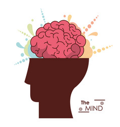 Man with brain Royalty Free Vector Image - VectorStock