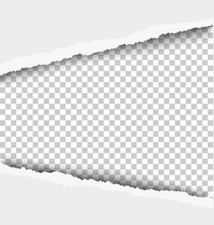 Realistic torn paper set with ripped edges space Vector Image