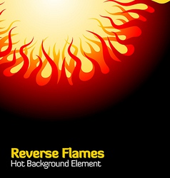 Bird fire wings fantasy feather burning fly Vector Image