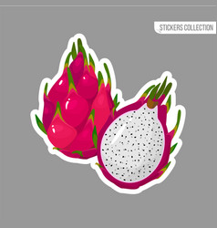 Dragon fruit sketch Royalty Free Vector Image - VectorStock