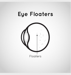 Human eye Royalty Free Vector Image - VectorStock