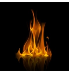 Green magic fire flame bonfire Royalty Free Vector Image