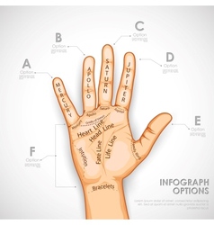 Palmistry map on open palm with old magic symbols Vector Image