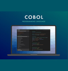 Basic programming language on the laptop Vector Image