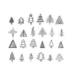 Juniper branches set on white background Vector Image