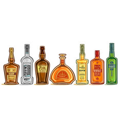 Alcohol drink vodka Royalty Free Vector Image - VectorStock