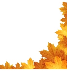 Square frame of leaves Royalty Free Vector Image