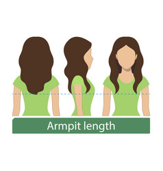 Hair care treatment Royalty Free Vector Image - VectorStock