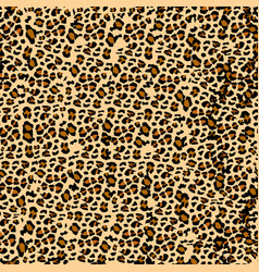 Seamless classic leopard texture pattern Vector Image