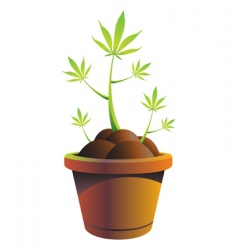 Yellow flower pot Royalty Free Vector Image - VectorStock