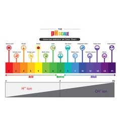 Ph scale universal indicator color chart Vector Image