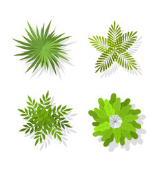 Tree top view for landscape Royalty Free Vector Image