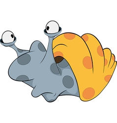 Cartoon snail with a shell Royalty Free Vector Image