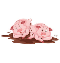 Educational flashcard pig sporting in a mud puddle
