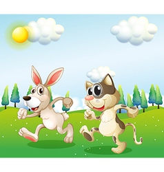 White rabbit running away Royalty Free Vector Image