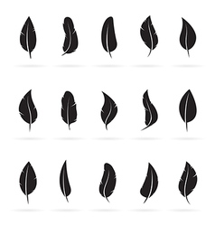 Group of feather on white background Royalty Free Vector