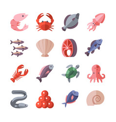 Sketch seafood lobster shellfish fish shrimp Vector Image