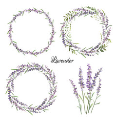 Lavender colorful wreath floral circle frame Vector Image