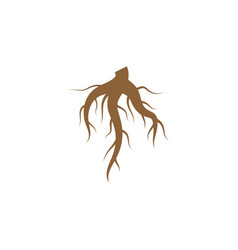 Root icon design template isolated Royalty Free Vector Image
