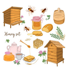 Honey set honeycombs bee insect glass jar Vector Image