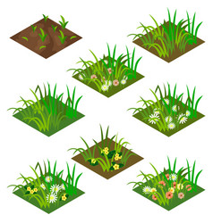Grass set Royalty Free Vector Image - VectorStock