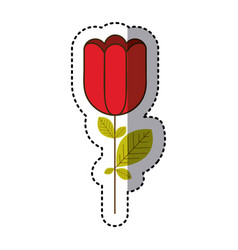 Pink round roses icon Royalty Free Vector Image