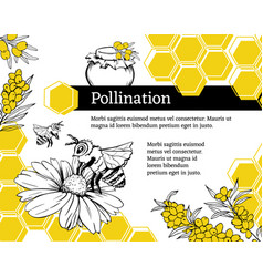 Pollination honey bee is an animal of pollinator Vector Image