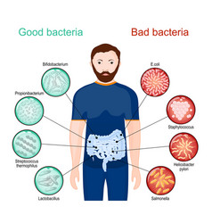 Types of bacteria Royalty Free Vector Image - VectorStock