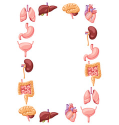 Heart internal organ human body Royalty Free Vector Image