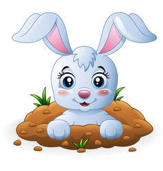 Cartoon funny donkey Royalty Free Vector Image