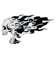 Skull vector by Netkoff - Image #3884675 - VectorStock