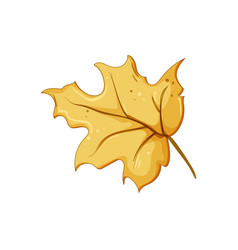 Red maple leaf cartoon Royalty Free Vector Image