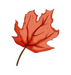 Red maple leaf cartoon Royalty Free Vector Image