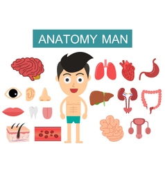 Kid body parts child anatomy human cutout part Vector Image