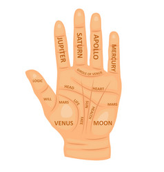 Cartoon human hand showing numbers set row Vector Image