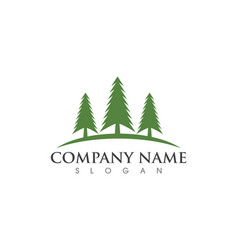 Cedar tree logo template Royalty Free Vector Image