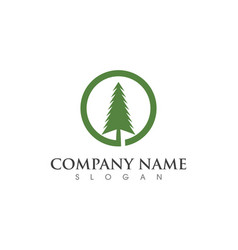 Cedar tree logo template Royalty Free Vector Image
