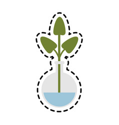 Biologist conducting experiment with plant in test