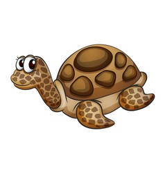 Turtle cartoon hiding in his shell Royalty Free Vector Image