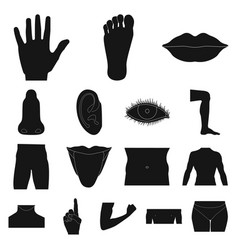 Human and part icon Royalty Free Vector Image - VectorStock