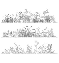Field flowers sketch Royalty Free Vector Image
